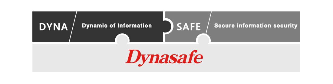 Dynasafe Technologies Inc.